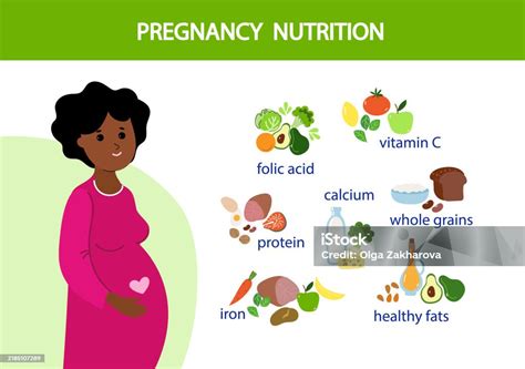 Pregnancy Nutrition Infographic Pregnant Woman Cartoon Character And