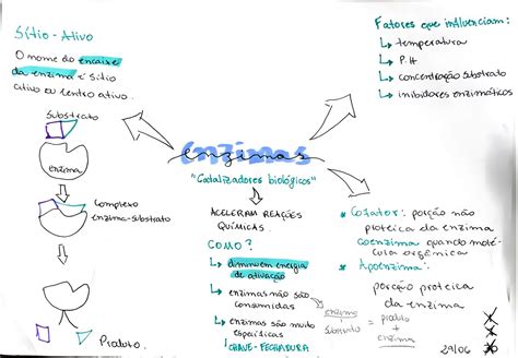 Mapa Mental Sobre Enzimas Maps4study