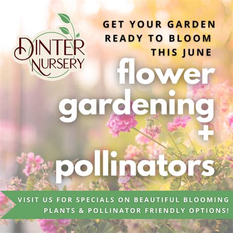 Sales — Dinter Nursery