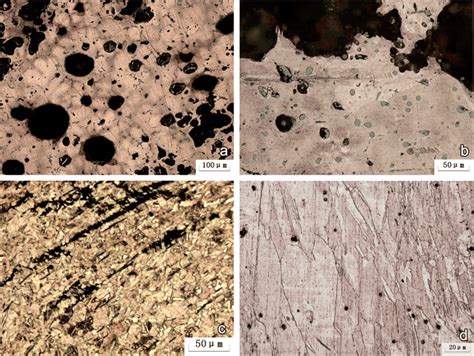 Photomicrographs Of Typical Metallographic Structures Identified Among Download Scientific