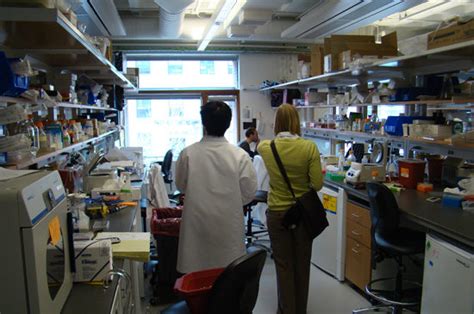 Experience Working On A Shadow Study Payette