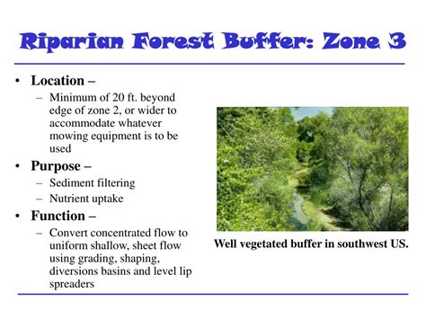 Ppt Riparian Forest Buffers Powerpoint Presentation Free Download Id236358