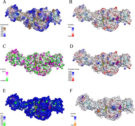different regions in modeled structure of sll1275 regarding a