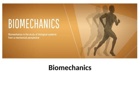 Sex Linked Inheritance Pdf