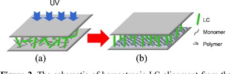 Figure 2 From Photopolymerization Induced Vertical Phase Separation And