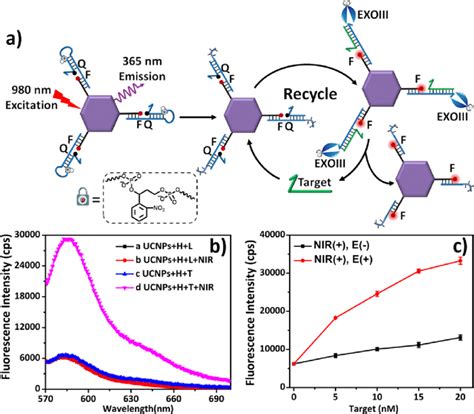 Nir Lightactivated Nucleic Acid Cascade Recycling Amplification