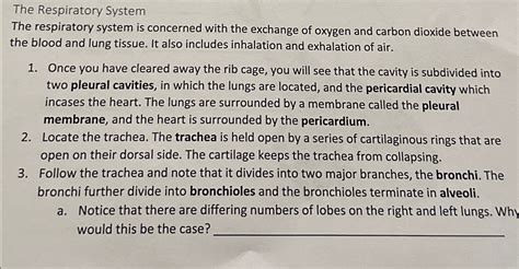 Solved The Respiratory SystemThe respiratory system is | Chegg.com