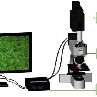 Schematic Diagram Of The HMI System Download Scientific Diagram