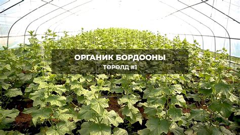 Компост бордоо Home Facebook