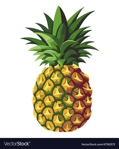 Juicy Pineapple Royalty Free Vector Image VectorStock