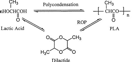 Solid State Polymerization Method For Preparing Polylactic Acid Eureka Patsnap