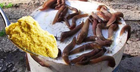 Щоб захистити від слимаків свої рослини потрібно 2 продукти які є на кухні у кожного НЕВЖЕ