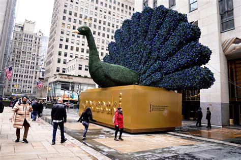 Comcast Announces That Their Streaming Service Peacock Coming To