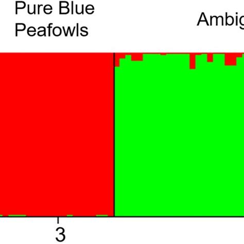 genetic clustering analysis using structure with an assumption of two
