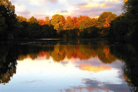 Free Images Landscape Tree Water Nature Forest Sunrise Sunset