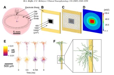 Model Based Analysis Of Cortical Recording With Silicon Microelectrodes Flashcards Quizlet
