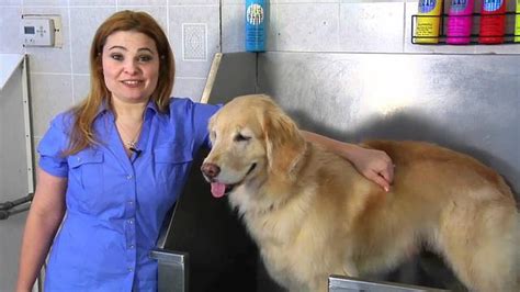 What To Do In Case Of Interceptor Plus Overdose Signs Symptoms And