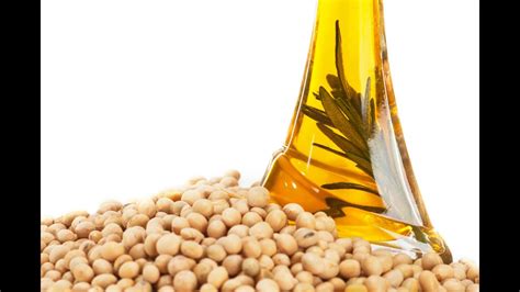 Soy Lecithin Cholesterol Benefits At Nancy Milne Blog