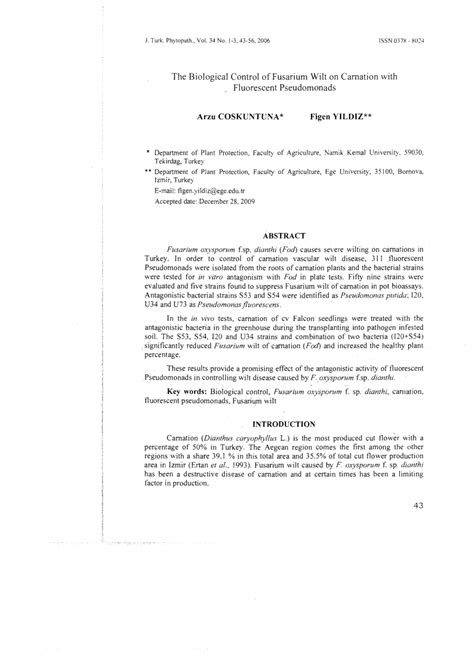 Pdf Biological Control Of Fusarium Wilt On Carnation With Fluorescent Pseudomonads