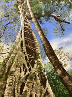 Climate Action Now Art Exhibition Launch Queensland Conservation Council