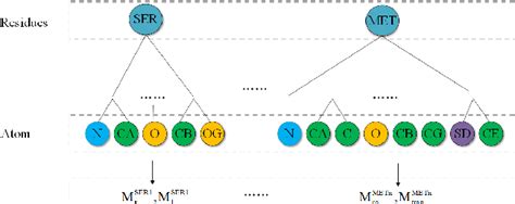 Figure 1 From Prediction Of Enzyme Function Based On A Structure Relation Network Semantic Scholar