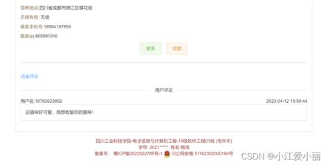 SpringBoot的流浪宠物系统 CSDN博客