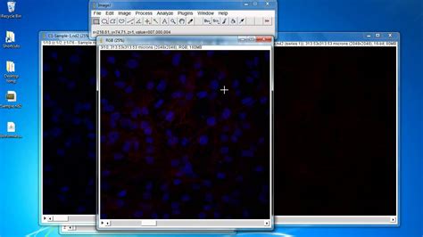 Image De Etoile Imagej D Viewer Manual
