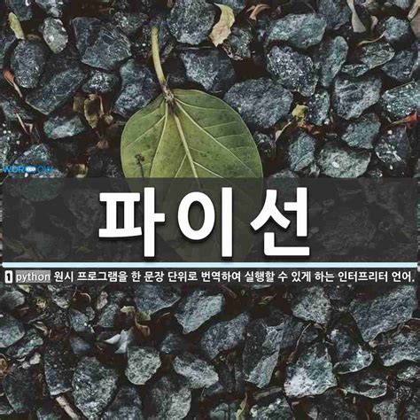 파이선 뜻 원시 프로그램을 한 문장 단위로 번역하여 실행할 수 있게 하는 인터프리터 언어