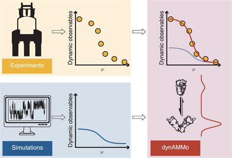 schematic of dynamic augmented markov models dynammo simulations