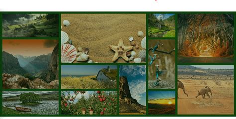 Github Patma12css Grid Gallery Grid Opacity Transition Hover
