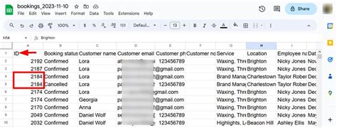 Export Bookings To Csv Since Appointment Booking Plugin 1 20 0 Motopress
