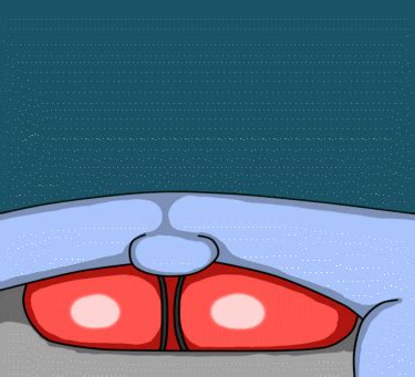 Post 6240822 Animated Bob Hexadecimal Reboot VylfGor