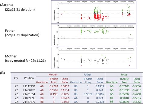 Chromosomal Microarray Plots Showing The Copy Number Status At 22q1121