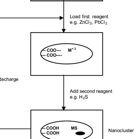 Schematic Diagram Of Nanoreactor Synthesis Method Ref Download Scientific Diagram