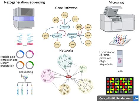 Next‐generation Sequencing And Microarray As Advanced Tools For Cancer Download Scientific