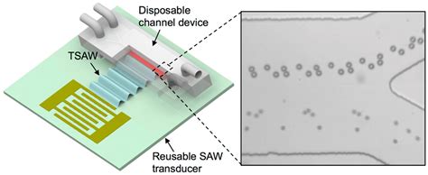 2016 Detachable Acoustofluidic System For Particle Separation Via A Traveling Surface Acoustic Wave