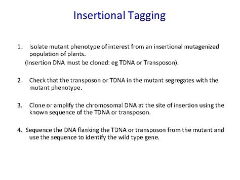 Using Mutants To Clone Genes Objectives 1 What