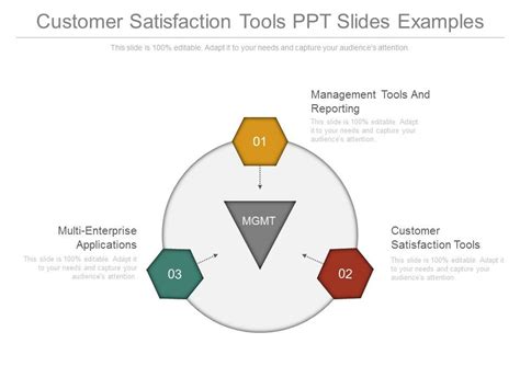 Customer Satisfaction Tools Ppt Slides Examples
