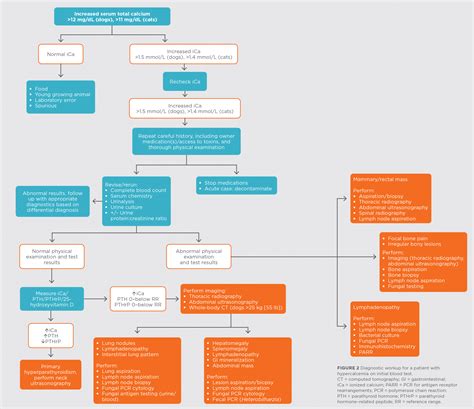 A Practical Approach To Hypercalcemia Today S Veterinary Practice