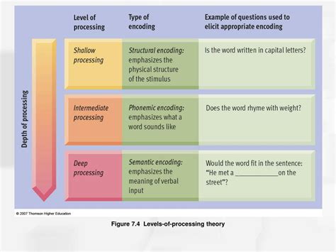Ppt Chapter 7 Human Memory Powerpoint Presentation Free Download Id6067896
