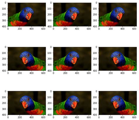 ai01 using image data augmentation in keras