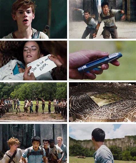 Pin Su Maze Runner Divertente