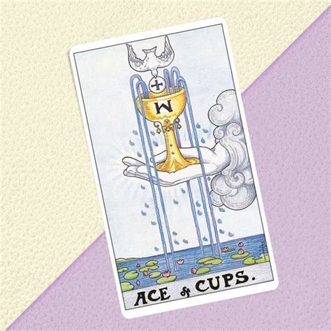 Tarot Suits The Cups Cards