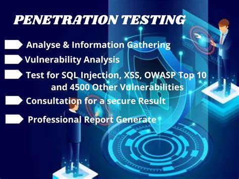 Professional Penetration Testing And Vulnerability Assessment With Report Upwork