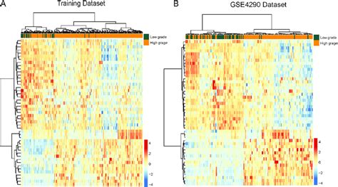 the heatmap of hierarchical clustering of differentially expressed