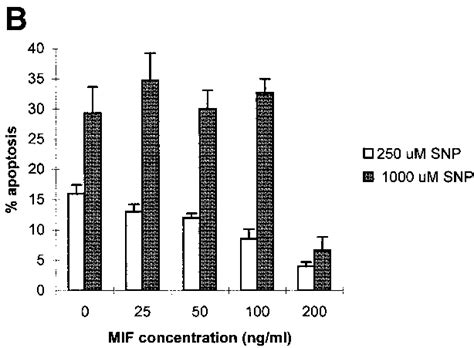Mif Treatment Overcomes P53 Dependent Apoptosis In Fibroblasts And