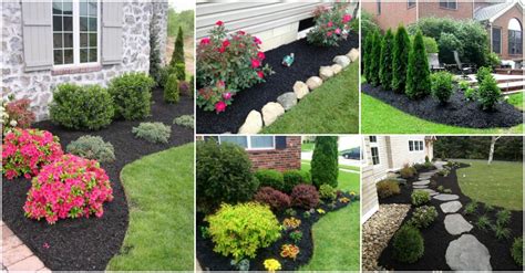 Stunning Black Mulch Landscaping Ideas You Must See
