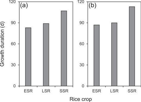 Contrasting Responses Of Grain Yield To Reducing Nitrogen Application