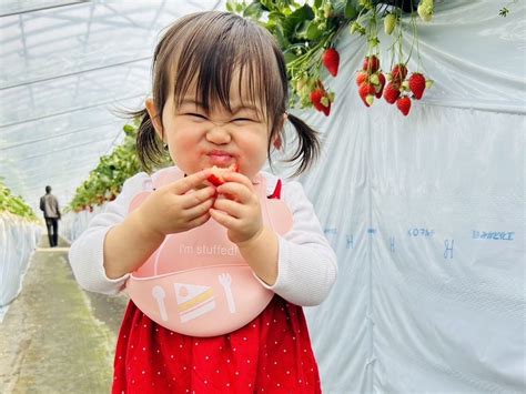 九十九里・銚子の観光スポットランキングtop10 じゃらんnet