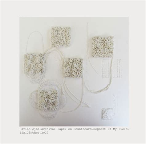 Harish Ojha Segment Of My Field 2022 Available For Sale Artsy